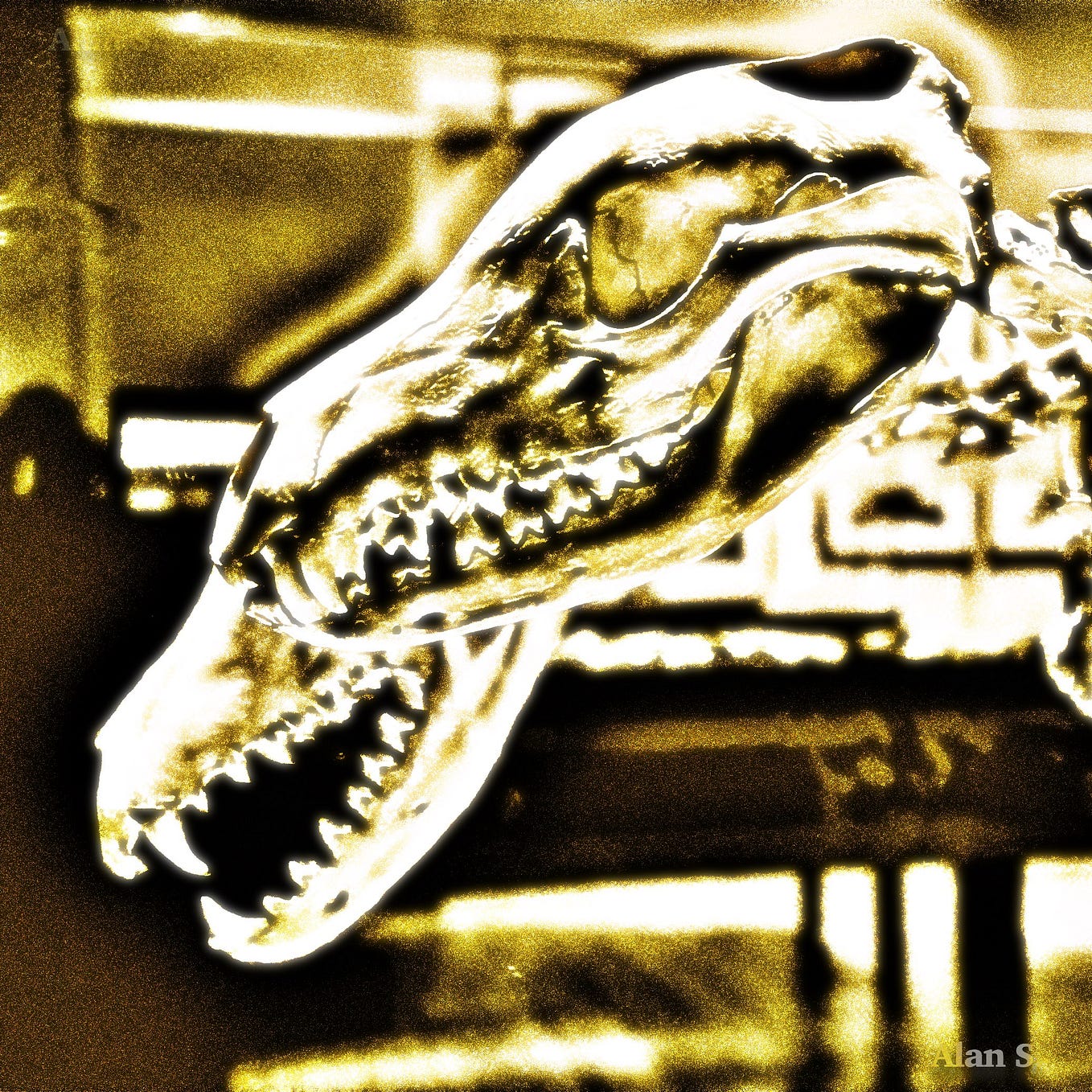 Why and How Paleontology and Fossils Matter to Our Lives: A Journey ...