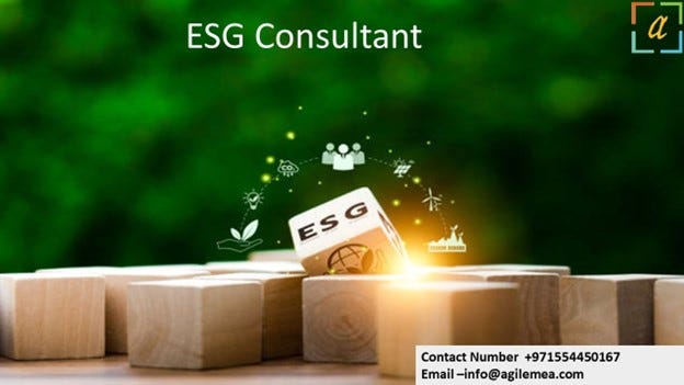 ESG ratings and their importance. As an ESG Consultant, investors ...