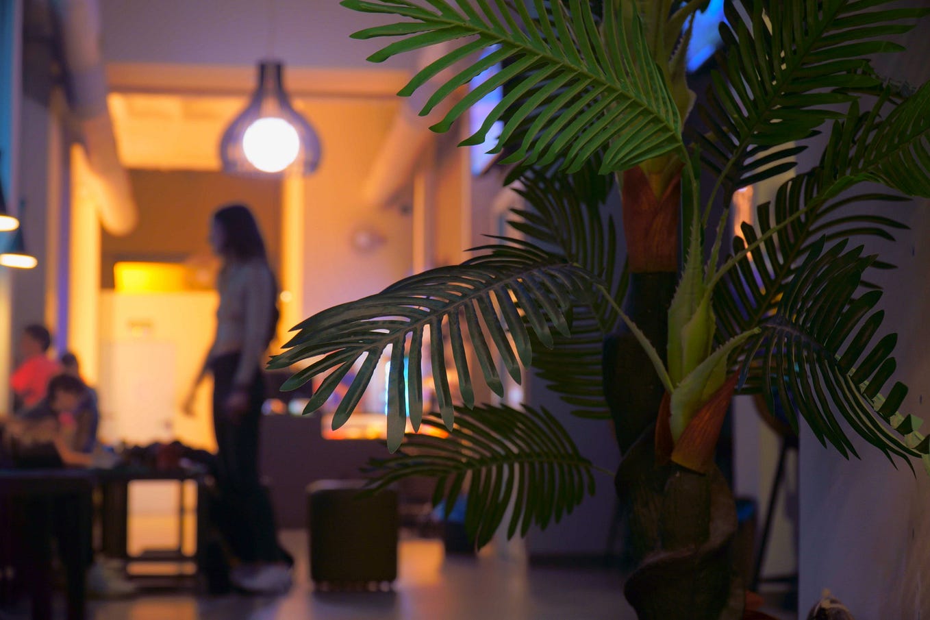Cannabis Club Barcelona. Across the country, cannabis clubs are… | by ...