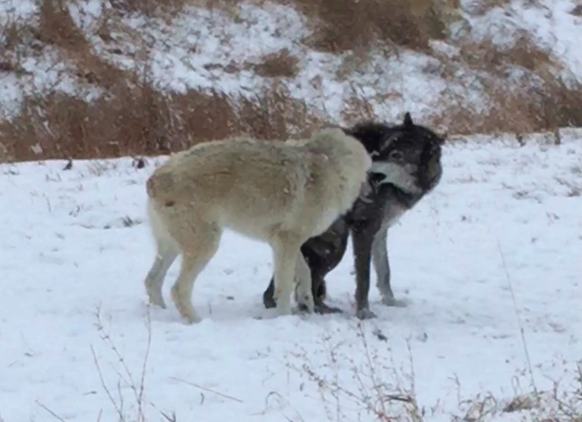 Thank you! - Erie Astin - Medium