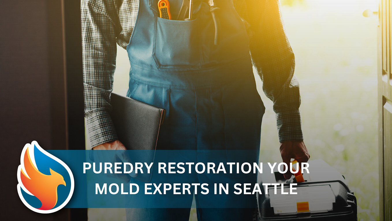 The Long-term Effects of Water Damage if Left Untreated | by ...