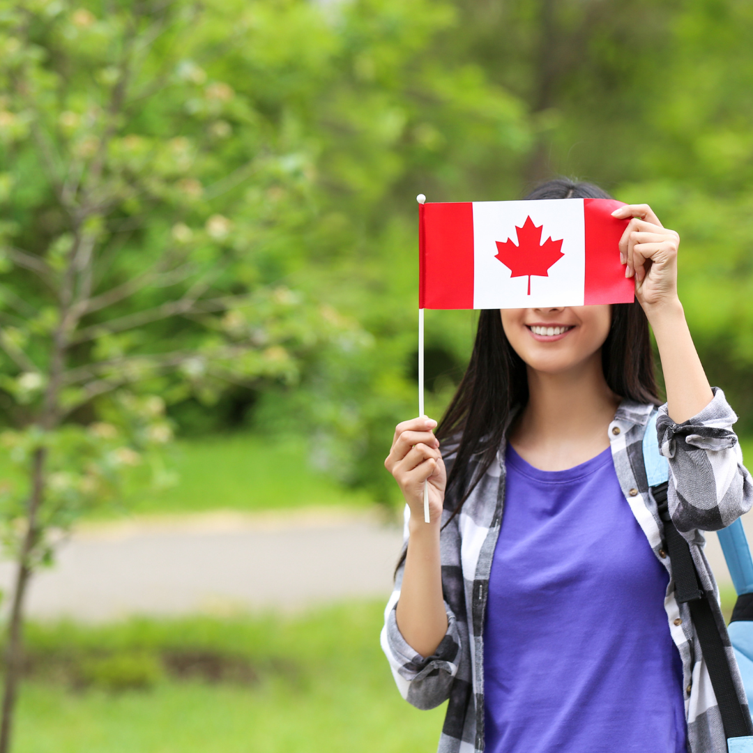 800,000+ And Growing: Student Visas are Not Sustainable For Canada | by Rooted Maple | Medium