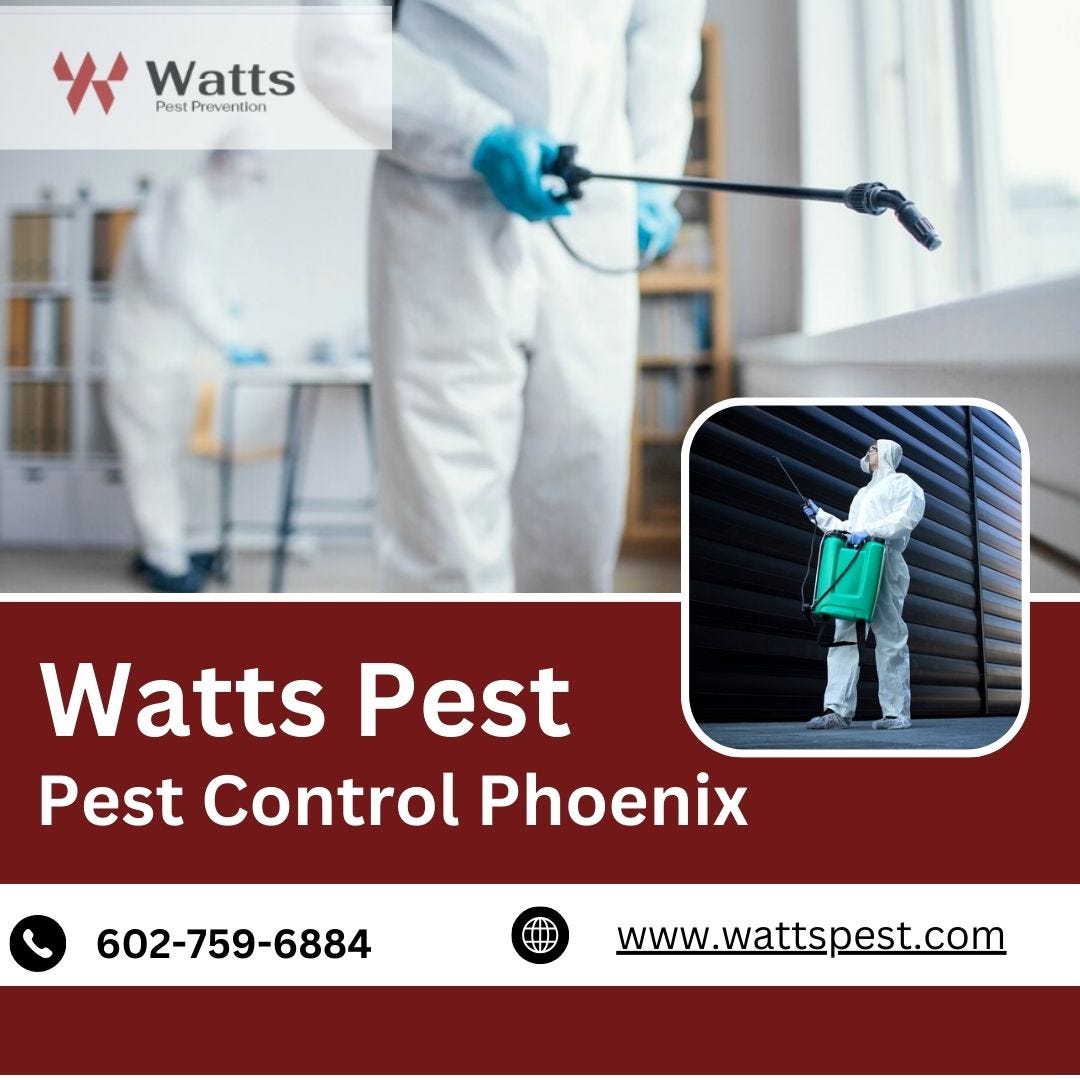 Expert Termite Treatment Solutions in Phoenix by Watts Pest Prevention ...