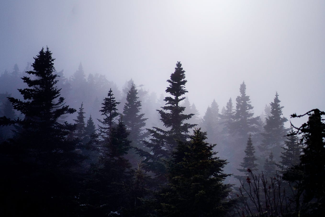 Partitioning In Big Query Partitioning In Bigquery Involves By Aman Choudhary Medium