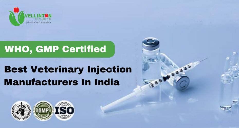 Dry Injection Manufacturer In India - Vellintonhealthcare - Medium