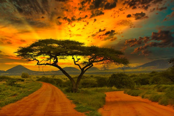 Unveiling Paradise: Beach Holidays in Kenya, Beautiful Places in Kenya ...