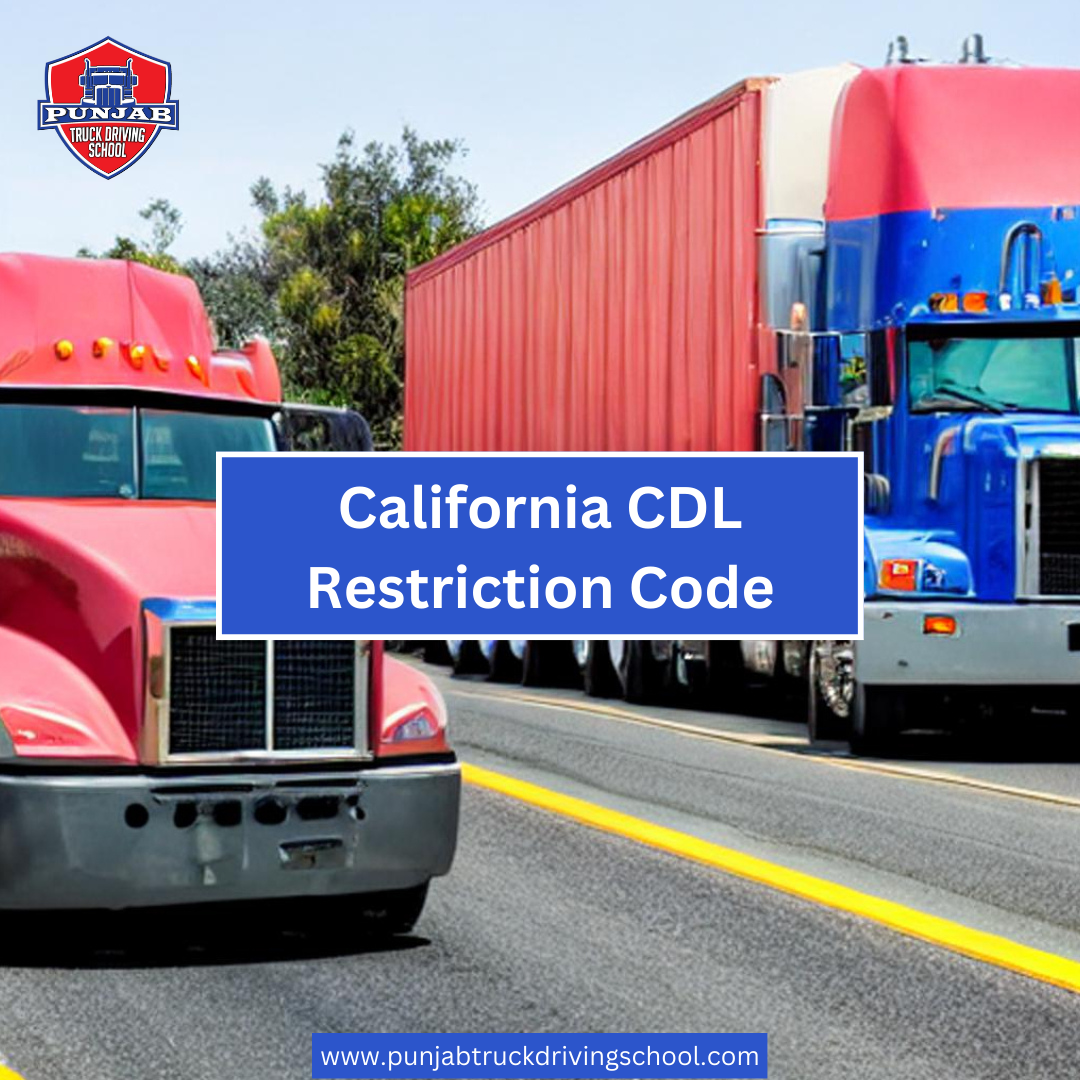 CDL RESTRICTION CODES Punjab Truck Driving School Medium cdl-restriction-codes-punjab-truck-driving-school-medium