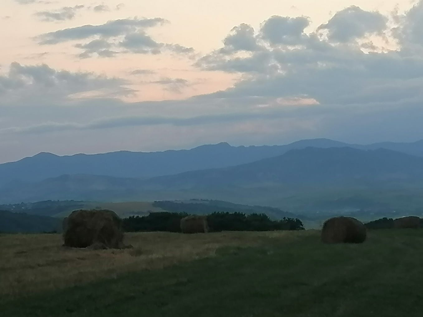 Bryan Johnson Rejuvenation Project | by Off-Grid Romania | Medium