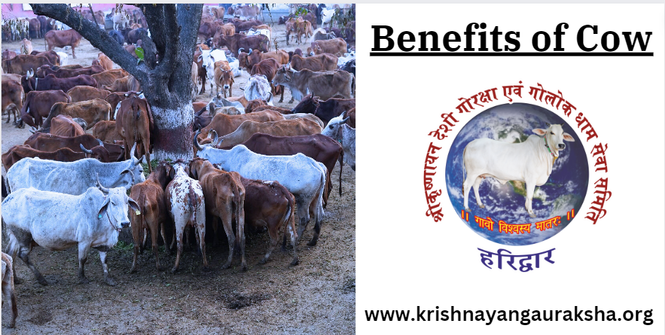Shradh (Pitru Paksha): Ancestral Blessings, Dates, Rituals, and ...