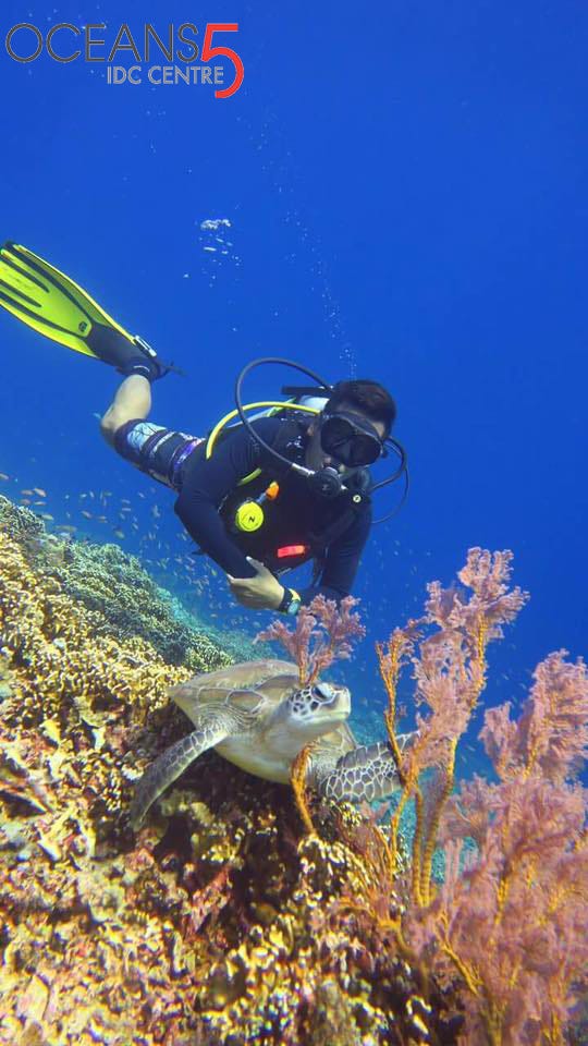 Become a Confident Scuba Instructor with PADI Instructor Development ...