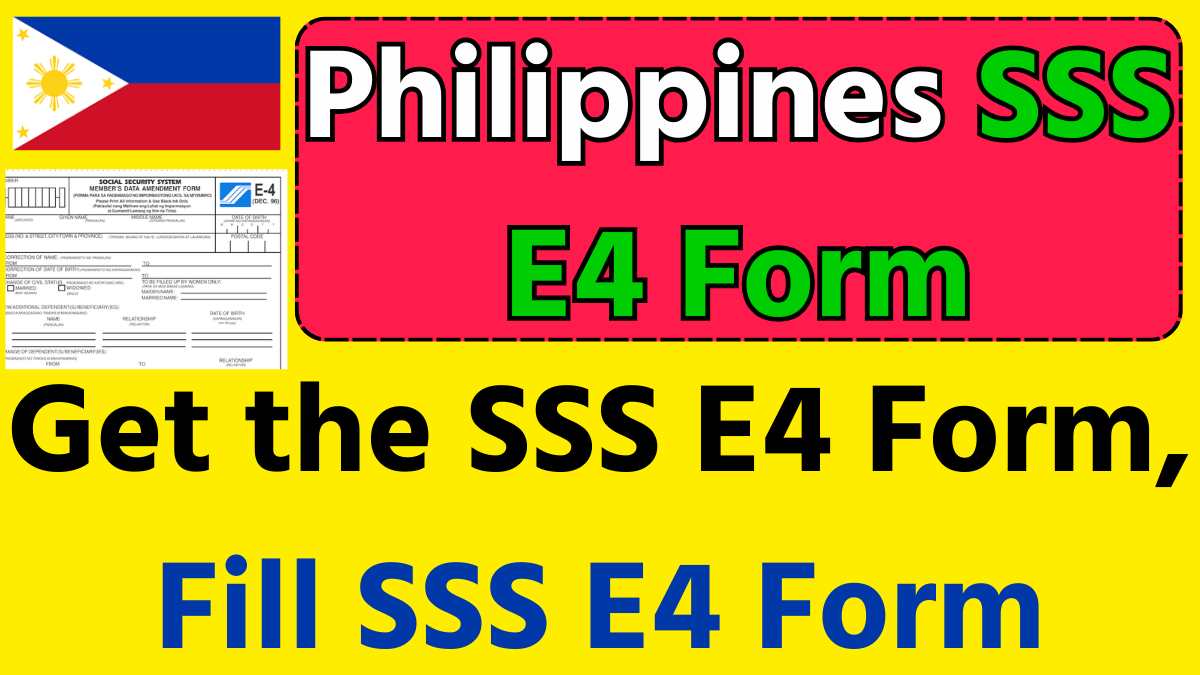 YourAubsome Real Name, Age, Height, Net Worth, Wiki, Bio - Networth chart - Medium