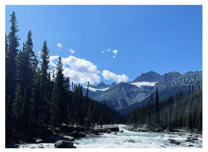 Linear Regression From Scratch- 3 Methods | by Alex | Medium