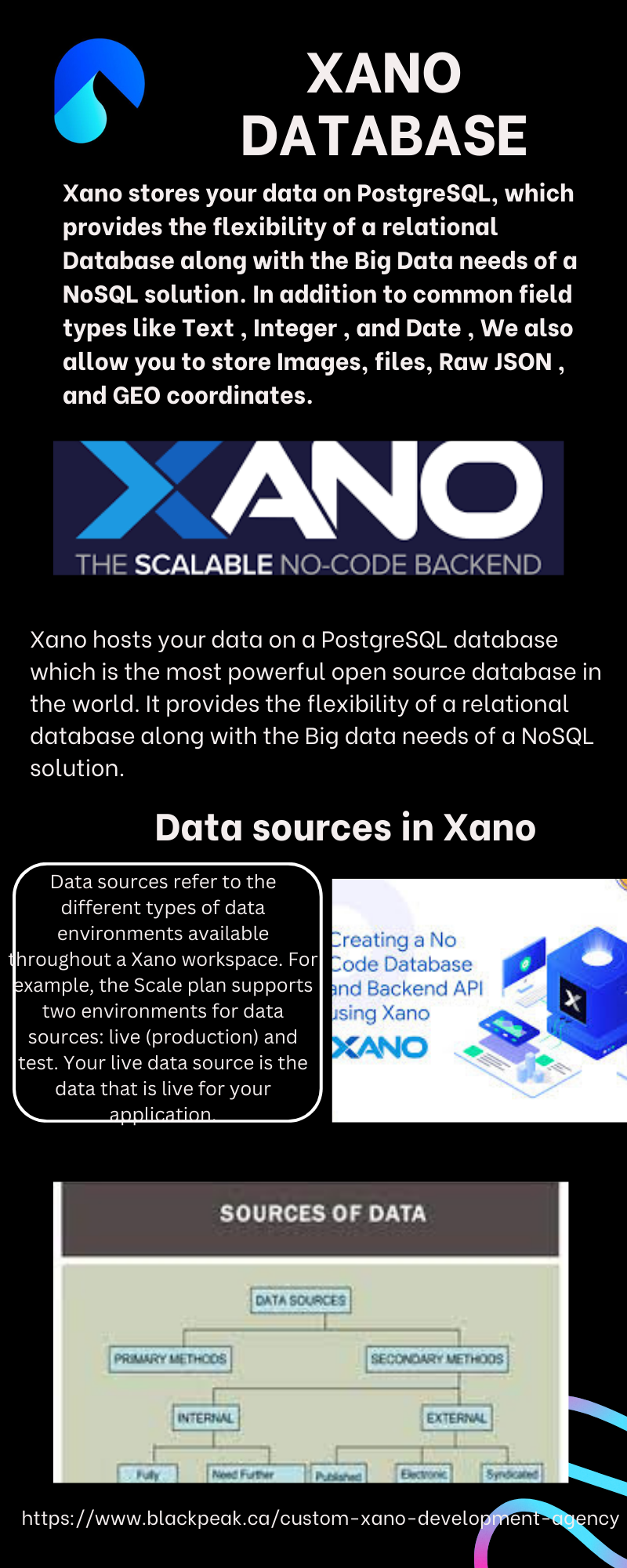 Exploring the Power of Xano Backend | by Black Peak | Medium