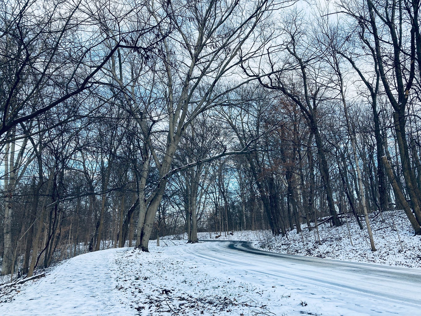 Haiku for a Sunny Day. Bright blue sunny sky | by Lucinda Ritter | Medium