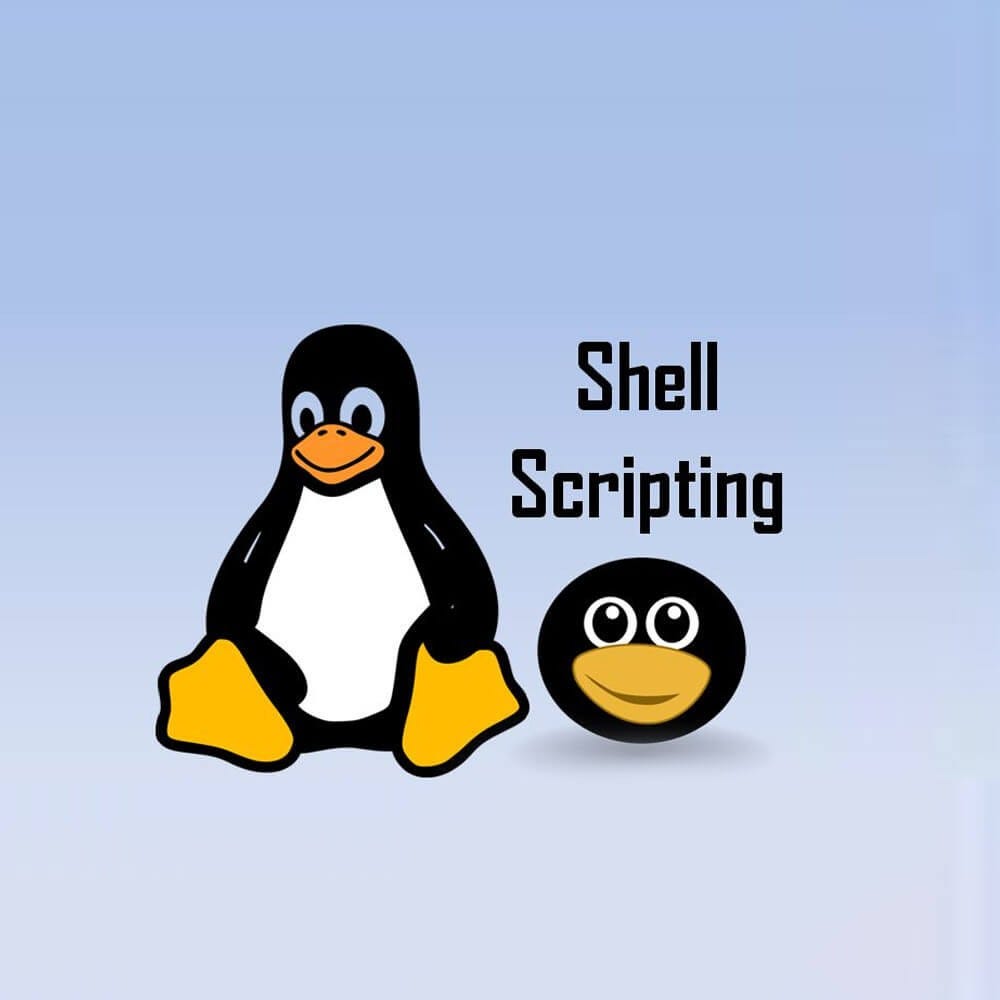 Day 3: Scripting in the Linux Shell (Part 1). | by Kenechukwu Udeh | Medium
