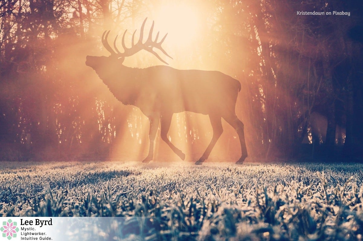 What You Think of Me is None of My Business | by Lee Byrd | Soul ...