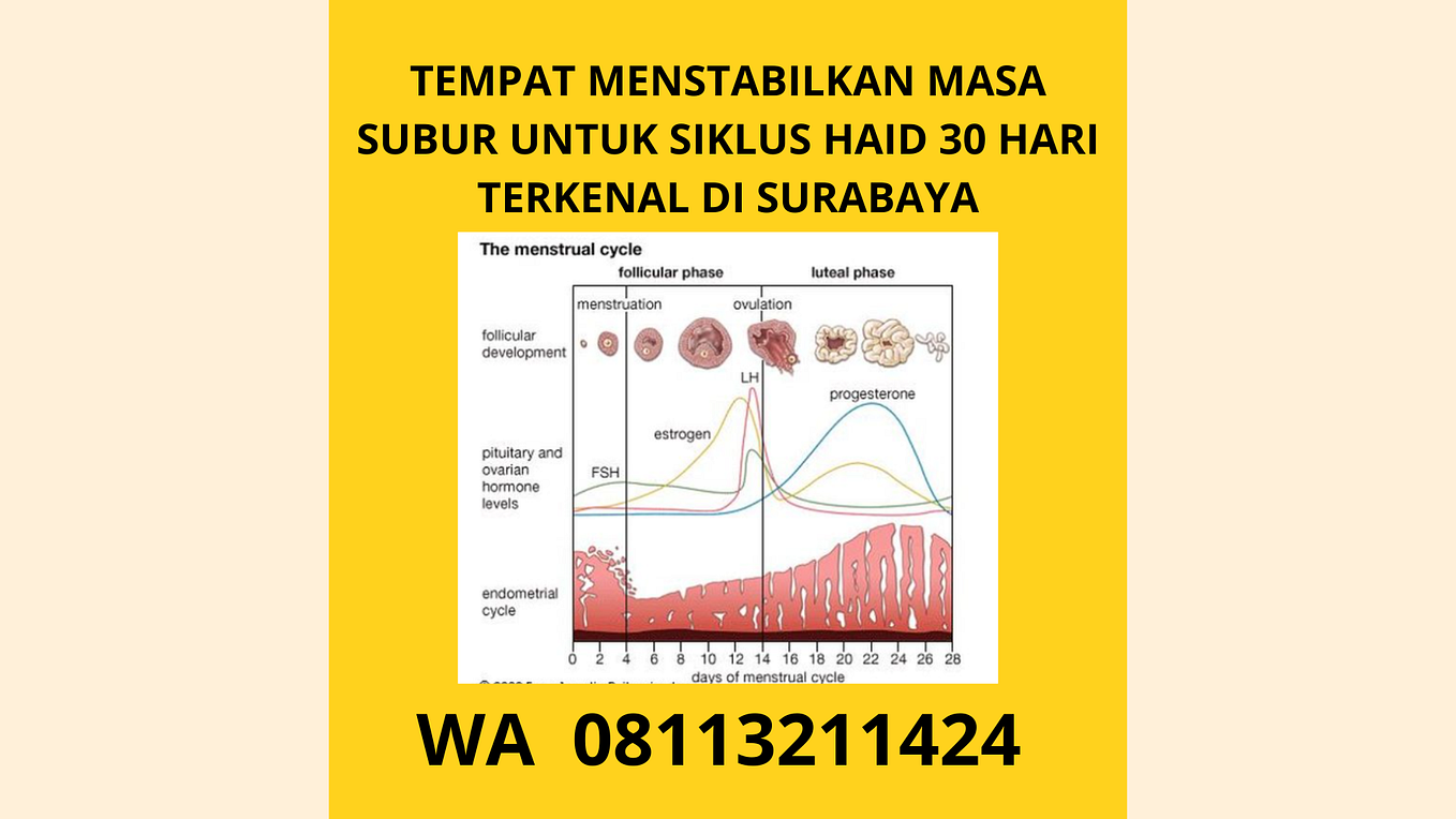 TEMPAT MENSTABILKAN MASA SUBUR YANG BAIK UNTUK BERHUBUNGAN TER ...