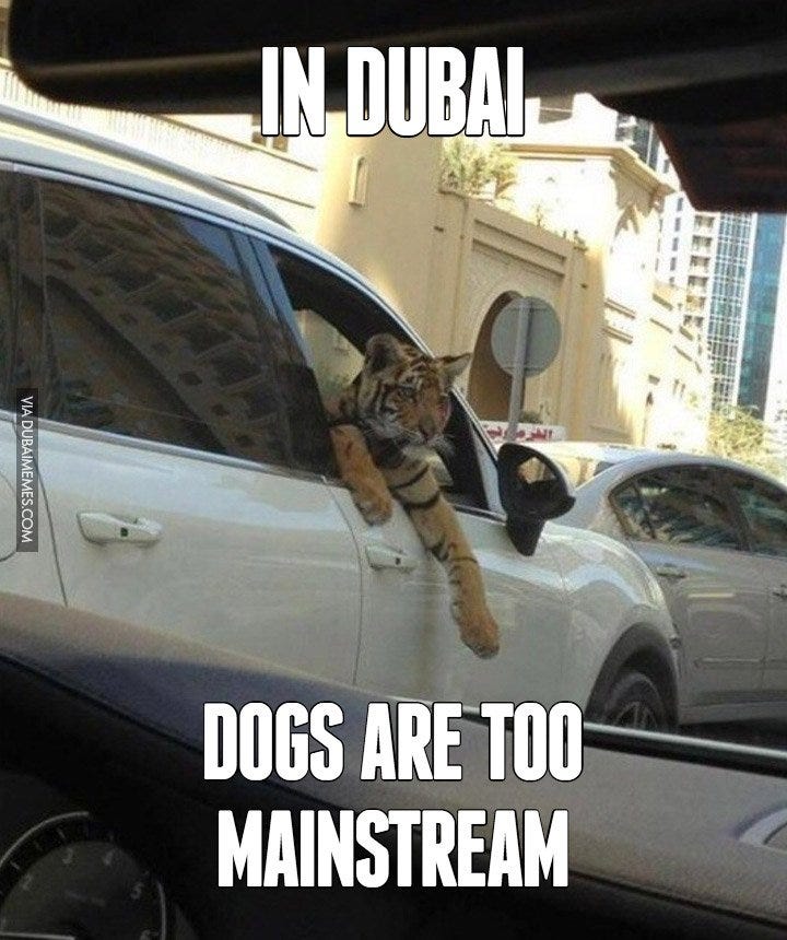 Nike Arabia Memes