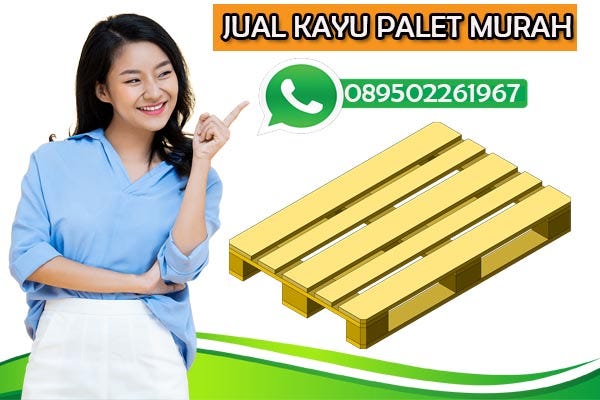 harga pallet kayu baru - jual kayu pallet murah - Medium