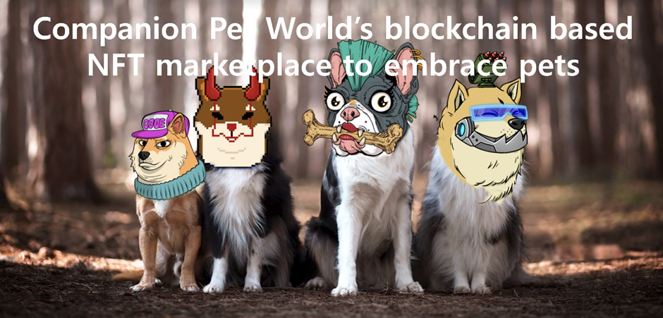 Connecting Pet Data - Companion Pet World - Medium
