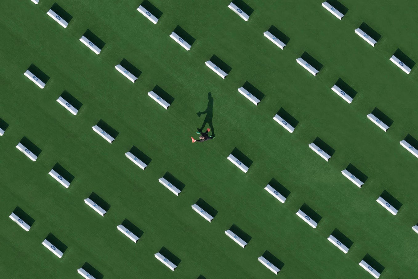 The Story Behind this Remarkable Photo of a Reef Shark Parting a School ...