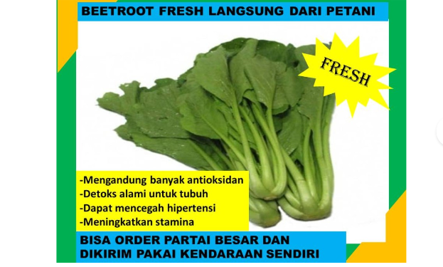 KEBUN FRESH!! Call: 0813–2868–0537, Toge Besar Cikadu Mekarlaksana ...