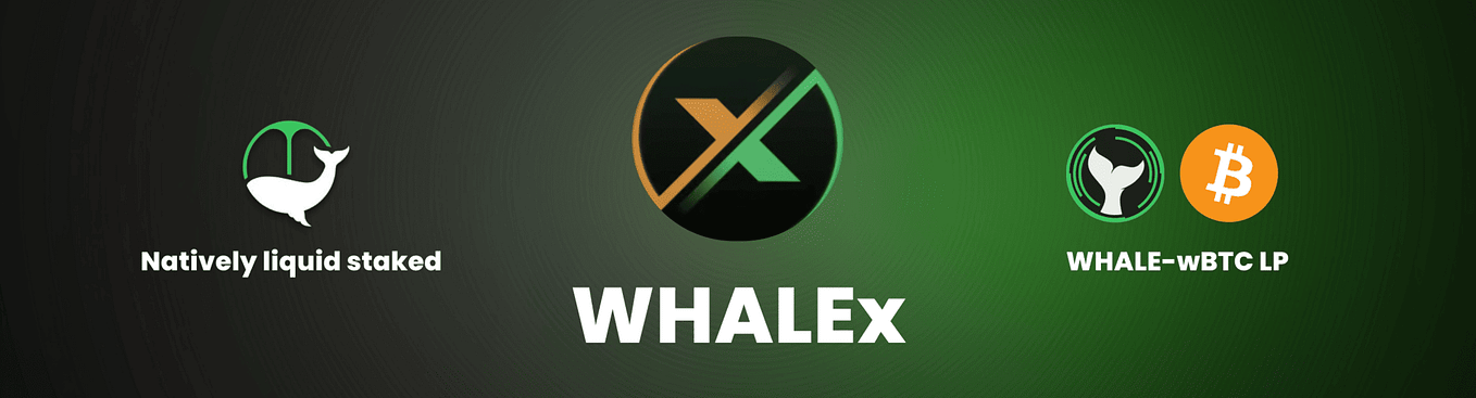An Introduction to Building Multi-chain | by Whaley DAO | Medium