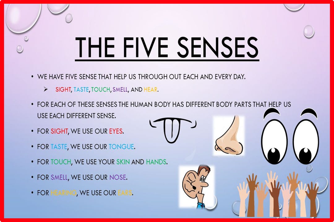 What Are Eyes And Their Function Digital Marketer Medium