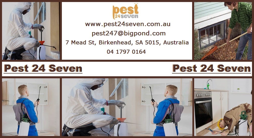 Stop Worrying About Termites and Find Solutions To Best Termite ...