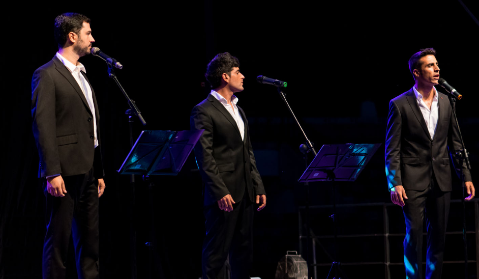 Hire Best Singer For Wedding Anniversary | German Gholami - Germán ...