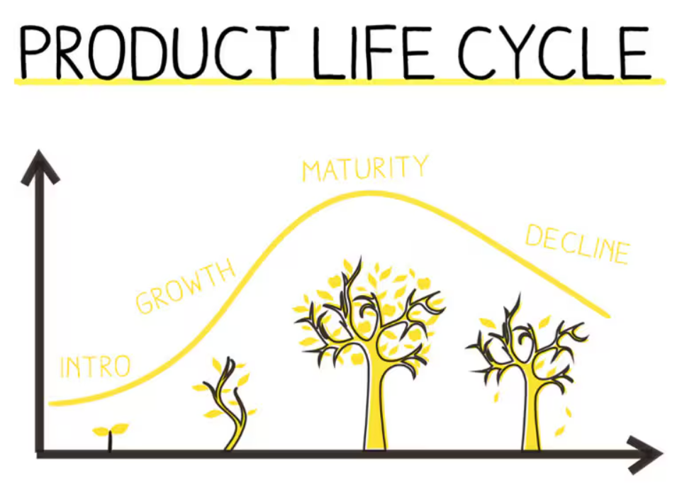 Mastering E-commerce Conversion: A Deep Dive into Funnel Analysis | by ...