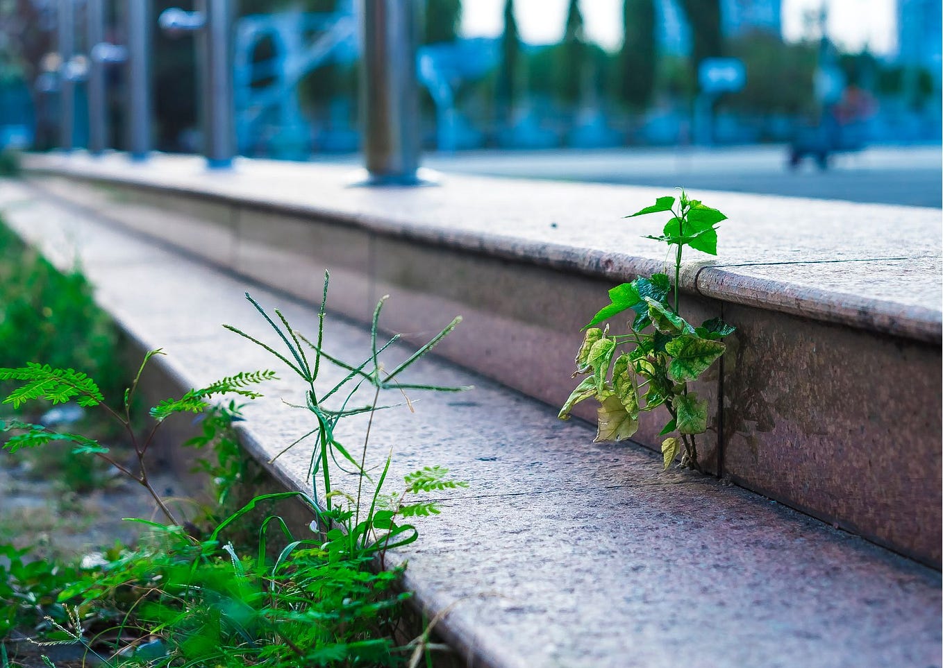 The Pulse of Organisational Health: Addressing Workplace Issues and ...