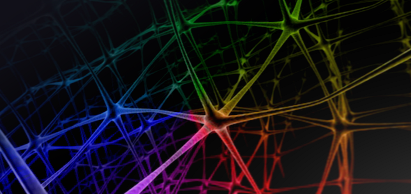 In Pytorch Why Do We Need To Call Optimizerzerograd By Lazy Programmer Medium