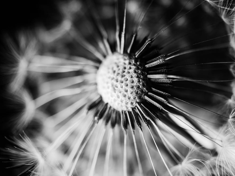 The Essential Product: A Path to Harmonious Complexity in Product Development | by Constantin ...