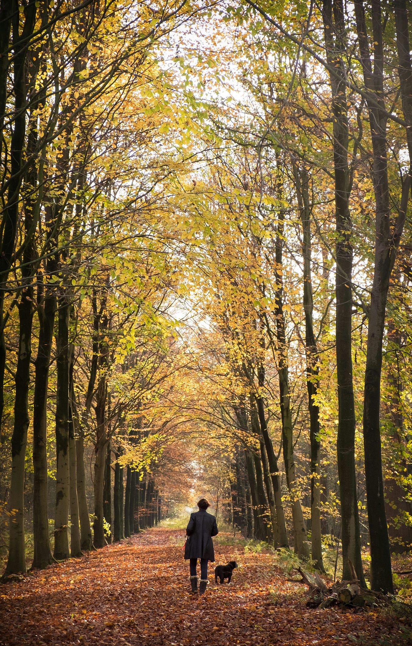 Just Wanted You To Know…. A Love Note To Whom It May Concern | by TFO ...