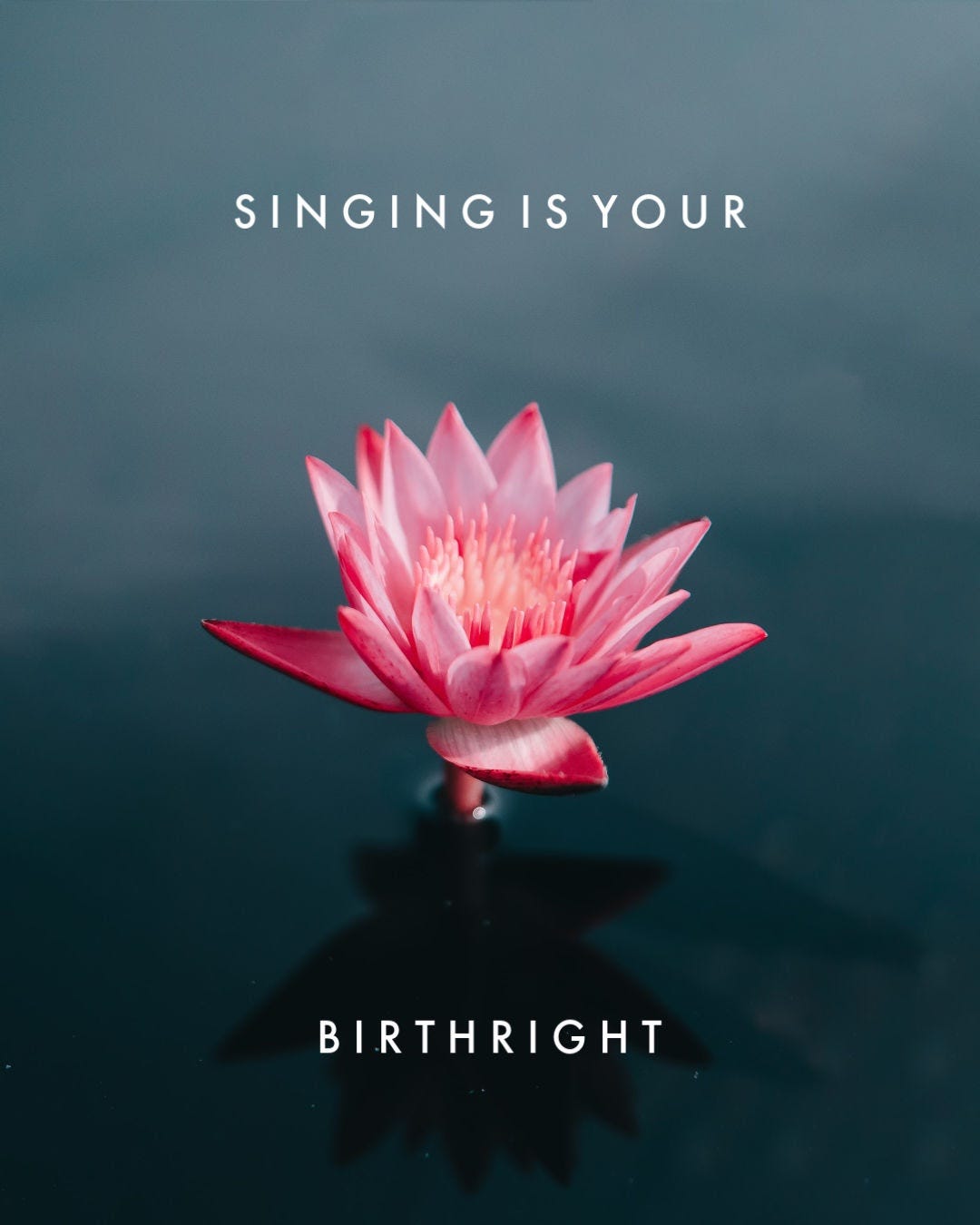 10 Vocal Myths and Tips for the Working Singer During Cold and Flu ...