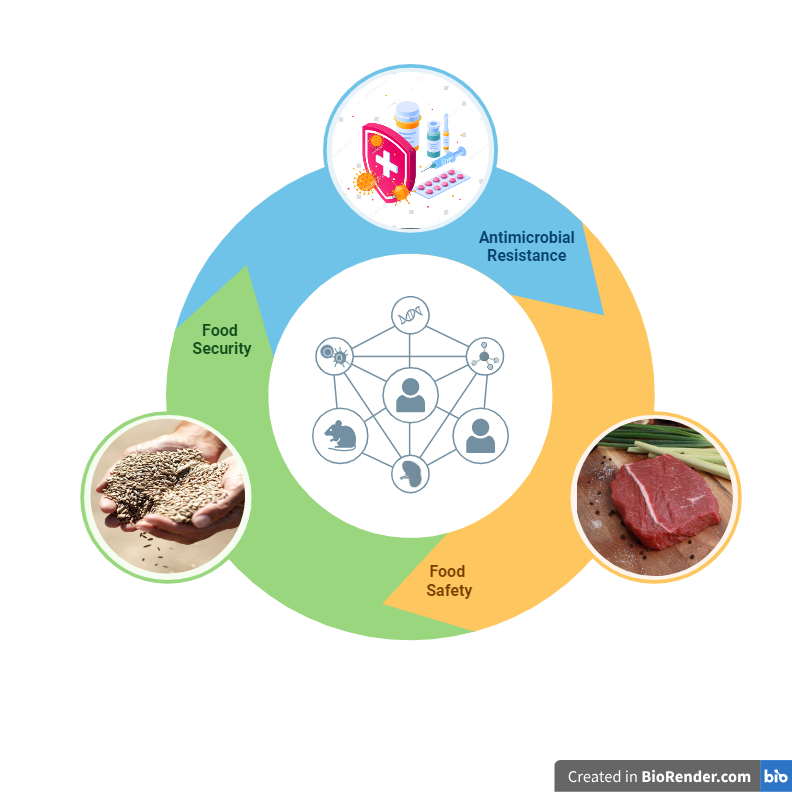 THE ANTIMICROBIAL APOCALYPSE A TALE OF TINY TROUBLEMAKERS | by ...