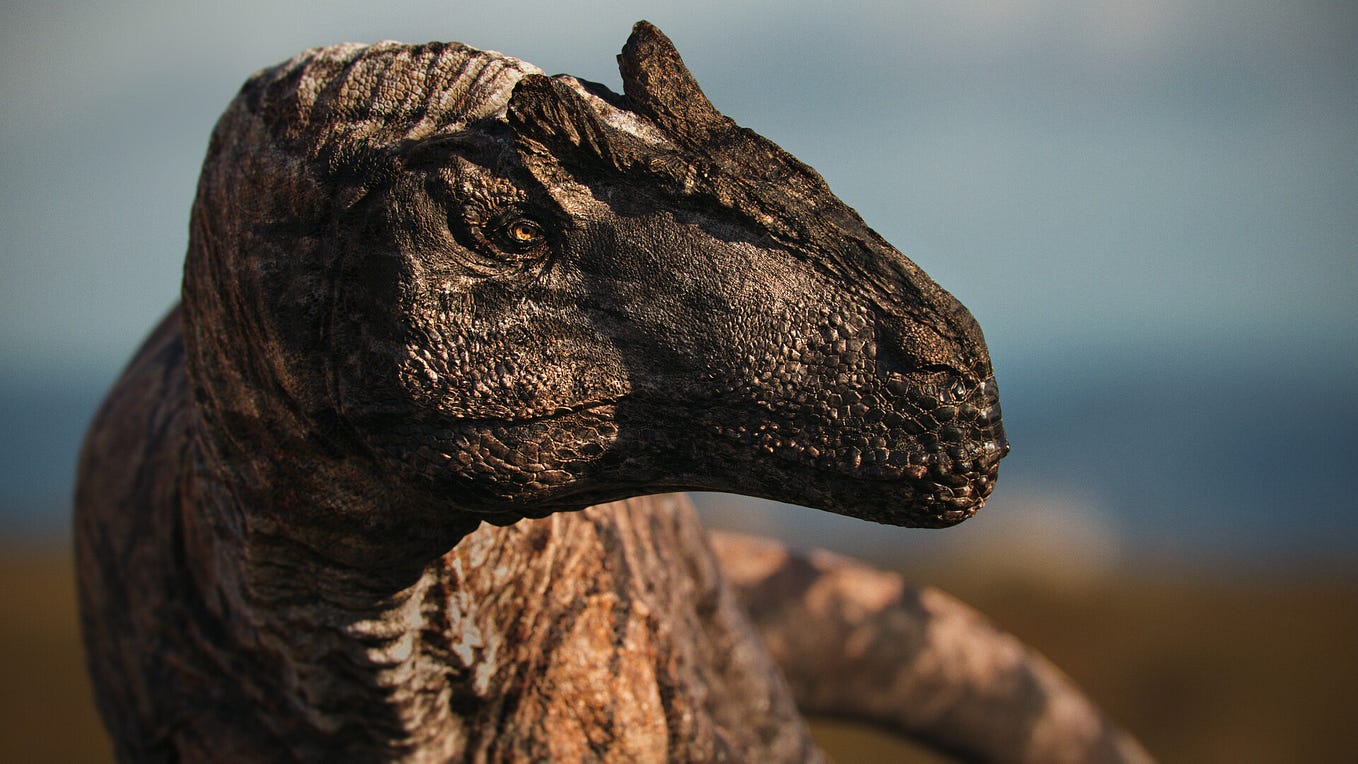 Barinasuchus: The Largest Terrestrial Predator of the Cenozoic | by ...