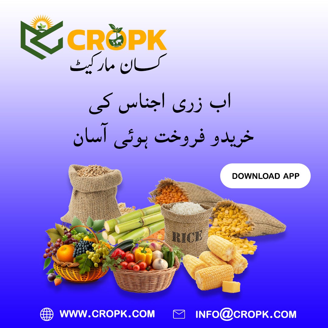 DOWNLOAD : https://play.google.com/store/apps/details?id=com.cropk.app&pcampaignid=web_share ...