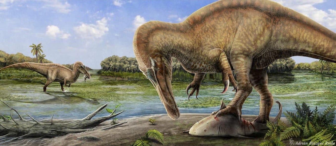 Barinasuchus: The Largest Terrestrial Predator of the Cenozoic | by ...