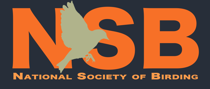 The NSB on Flickr. https://www.flickr.com/photos/141427360@… | by ...