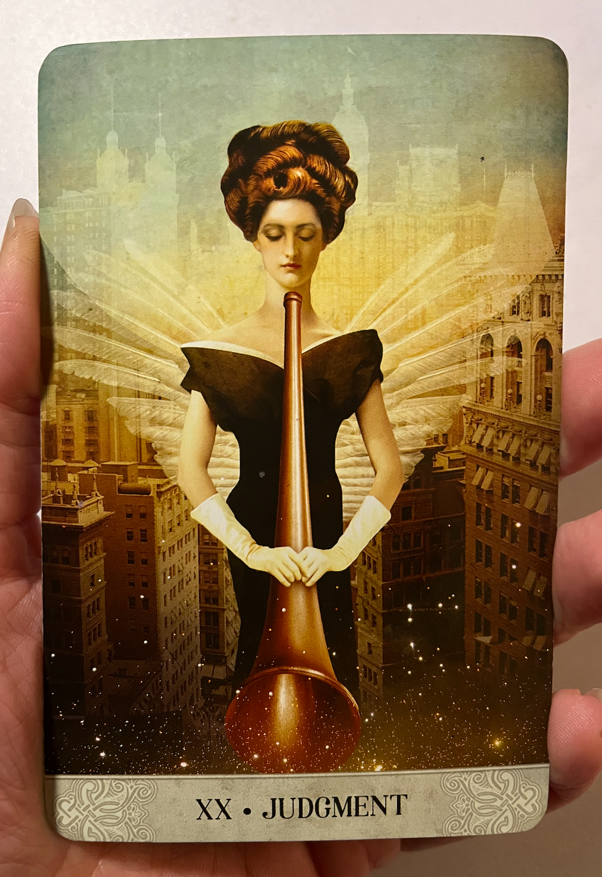 My Morning Tarot: The Emperor & The Chariot | by Amy Markham | Medium