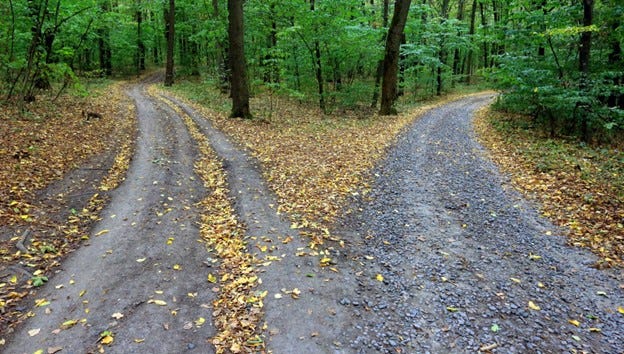 Interpretive Journey of Psalm 1 (Biblical Hermeneutics) | by Ruth ...