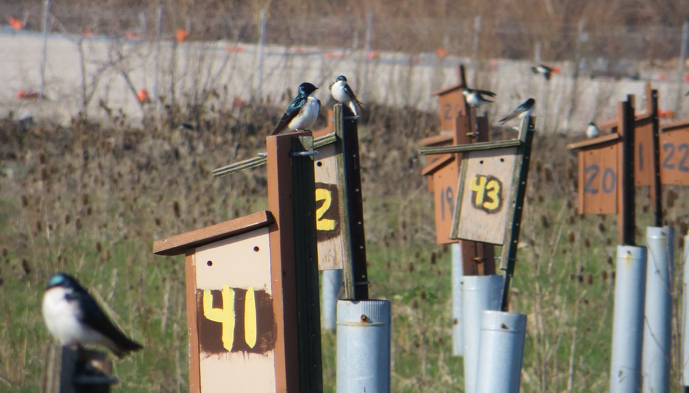 Natural Hamilton in Pictures: Trails & Landscapes | by Rob Porter ...