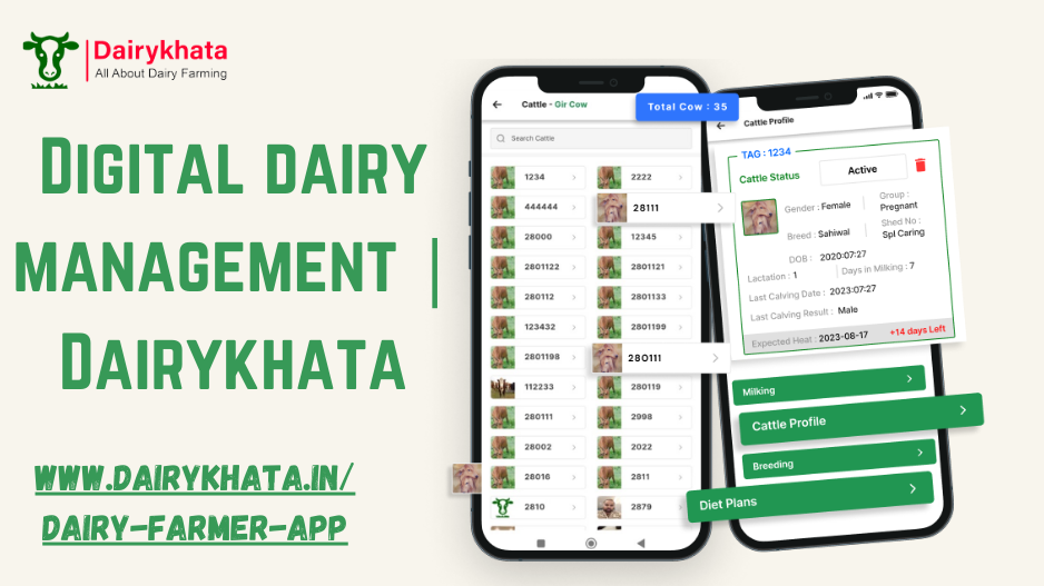 Dairy management software | Dairykhata - Dairykhata - Medium