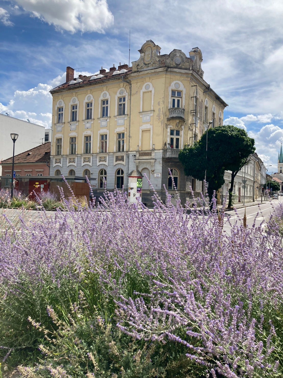寫作的紀律與虔誠──陳雪《少女的祈禱》 - 陳怡安 Yian Chen - Medium