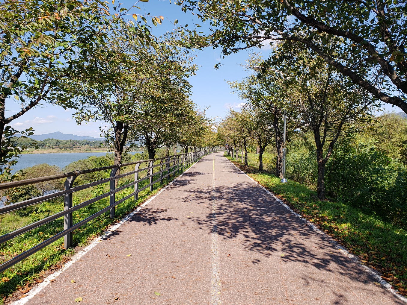 The Lakeshore West Line. Etobicoke-Lakeshore Profile | by Jacob Park ...