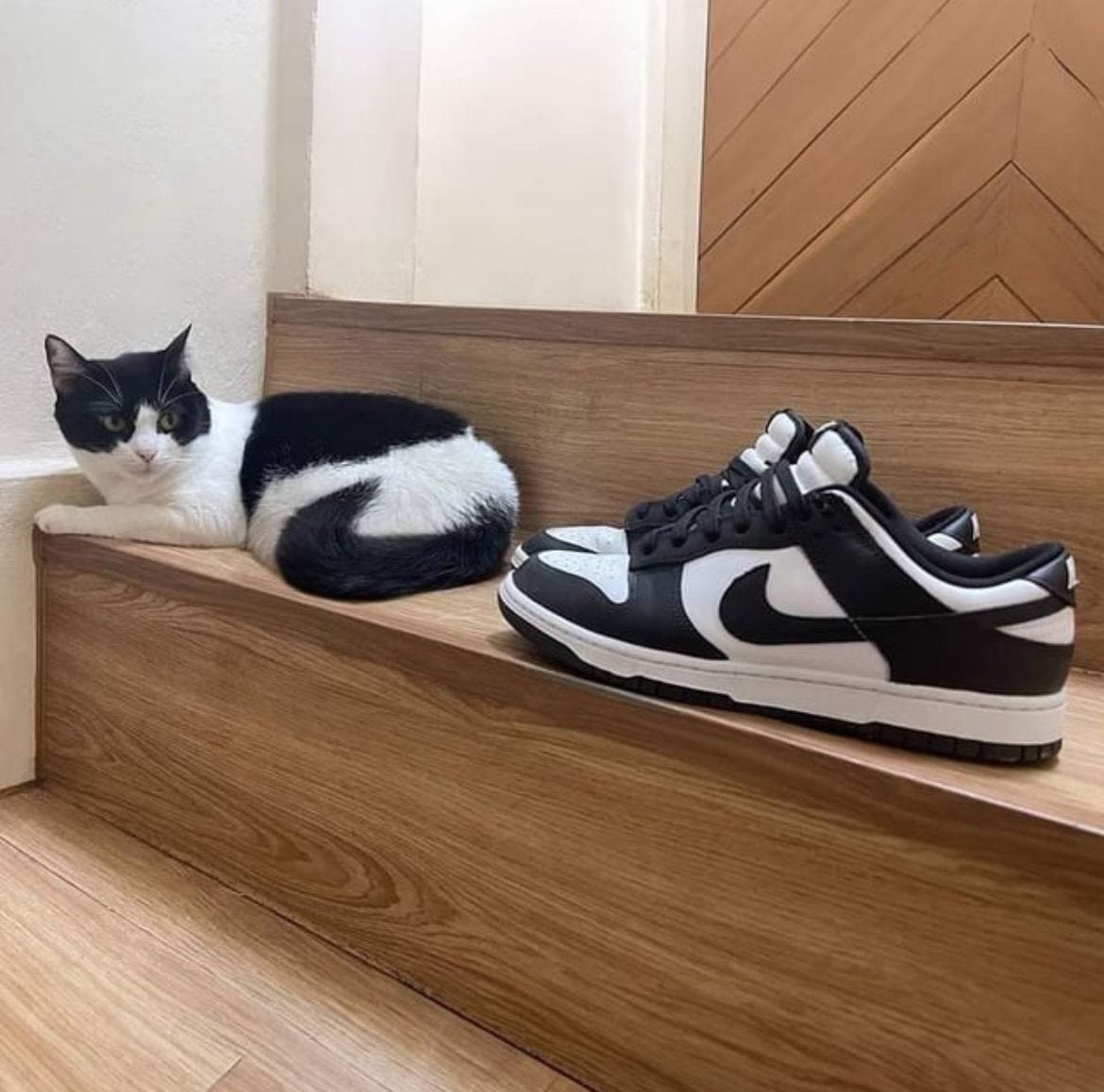 Incognito 6.0 CTF 2025 WriteUps(X Marks The Spot) | by Bünyamin Laçın ...