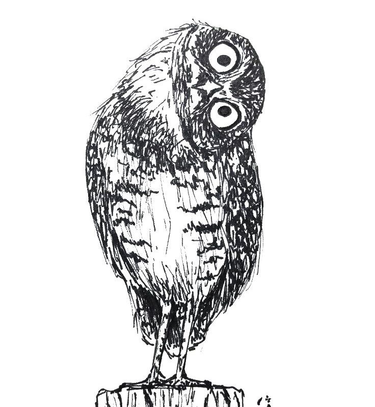 Getting Started with WSL for Bioinformatics — setting up a fully functional (and pretty ...