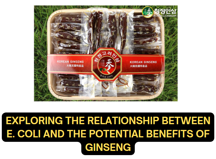 Exploring the Relationship Between Red Ginseng and the Benefits of ...